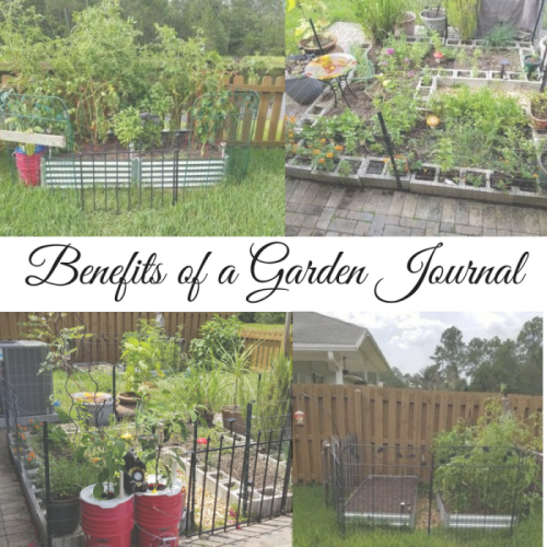 How to Start an Easy Garden Journal